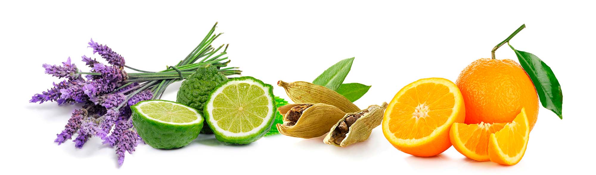 Home » Go2 Essential Oil Inhaler Sticks - For a better you!